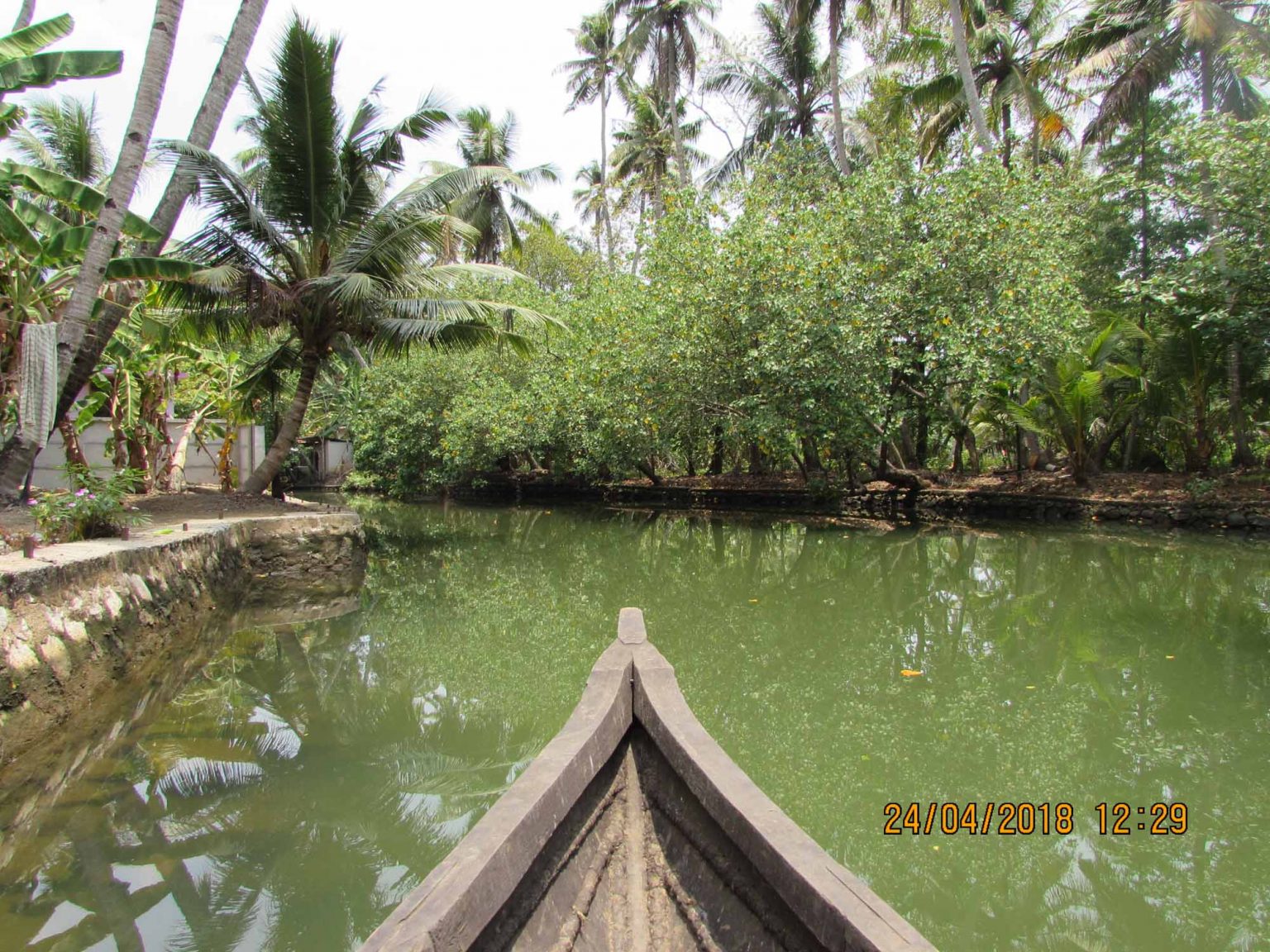 A traditional Canoe ride through Mundrothuruthu / Munroe Islands ...