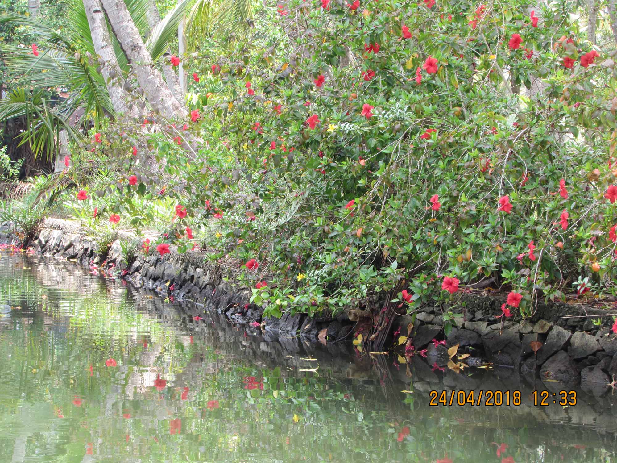 A traditional Canoe ride through Mundrothuruthu / Munroe Islands ...