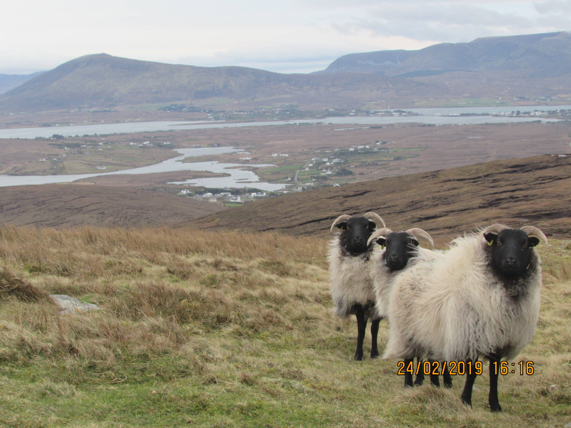 Exploring the County Mayo, Ireland