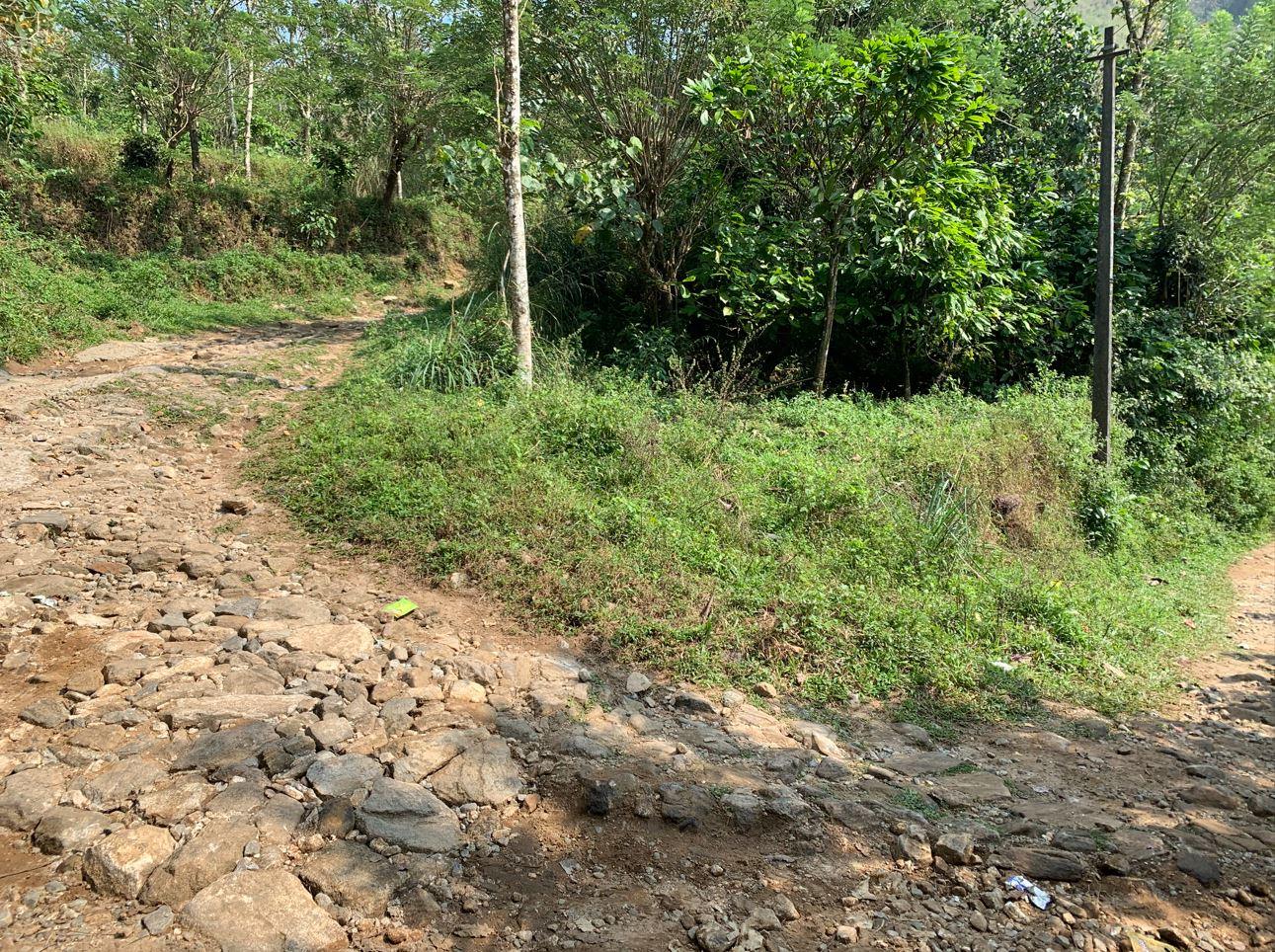 One Day Trip to Vayalada, Thonikadavu, Kakkayam Dam & Urakkuzhi ...